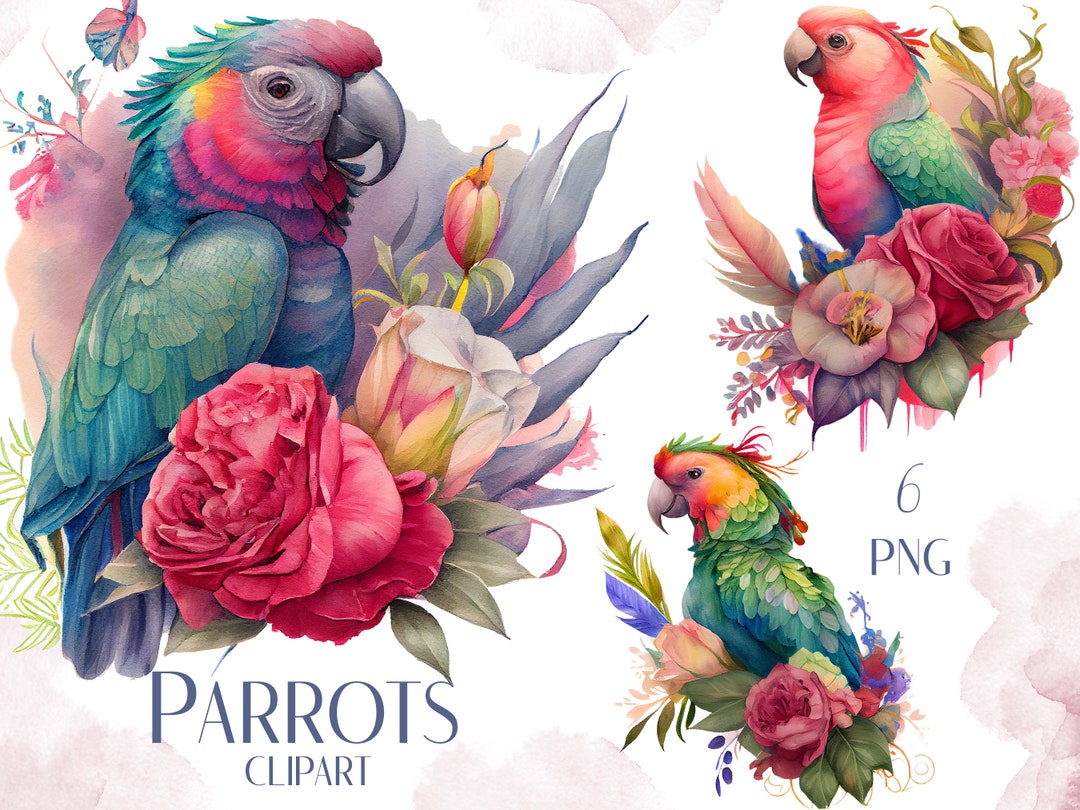 Watercolor Parrots Clipart, Spring, Summer, Flowers, Instant Download ...