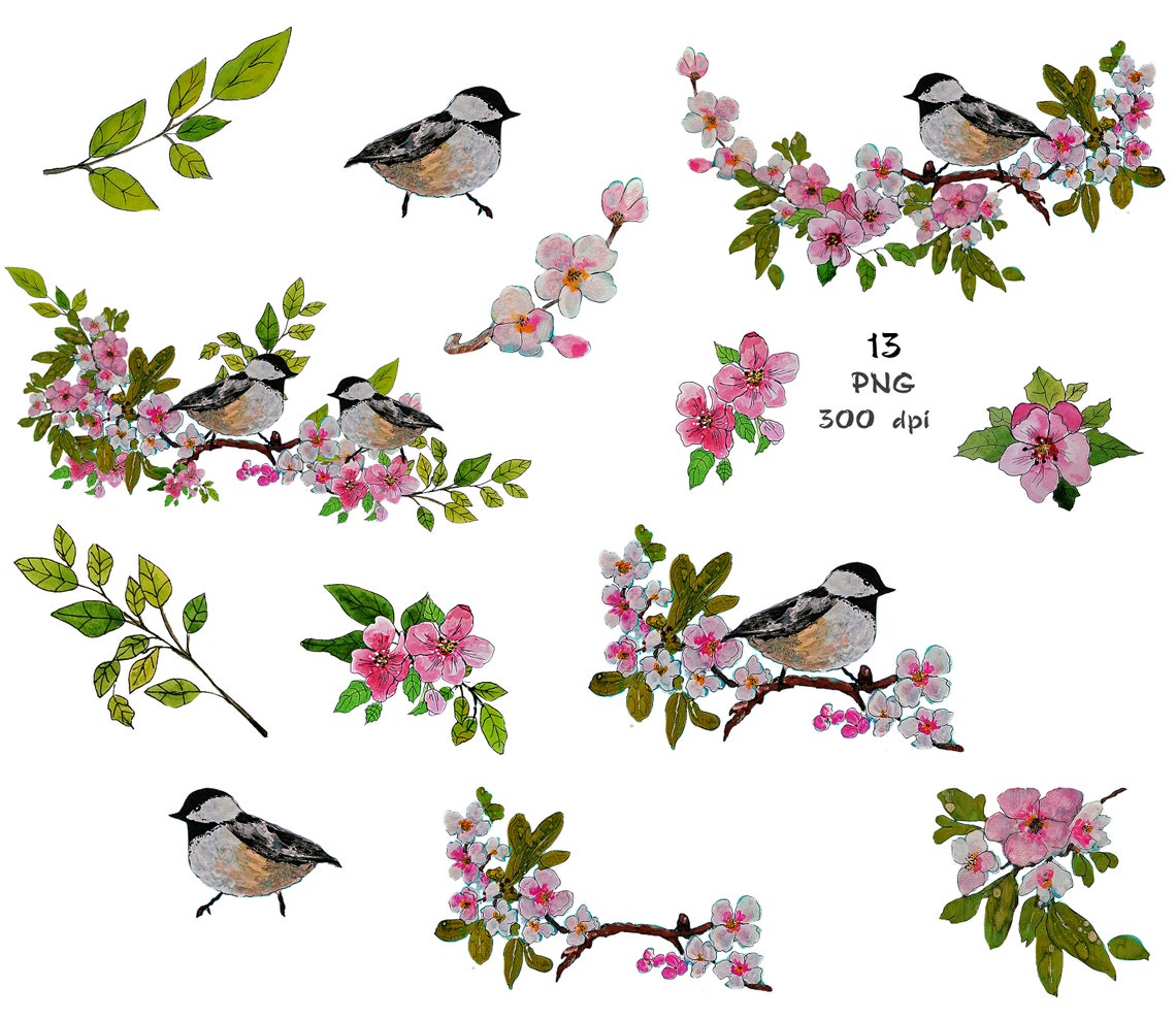 Spring Clipart Birds Leaves Branches PNG Transparent - Etsy