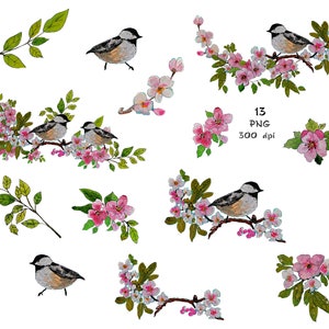 Spring Clipart Birds Leaves Branches PNG Transparent - Etsy