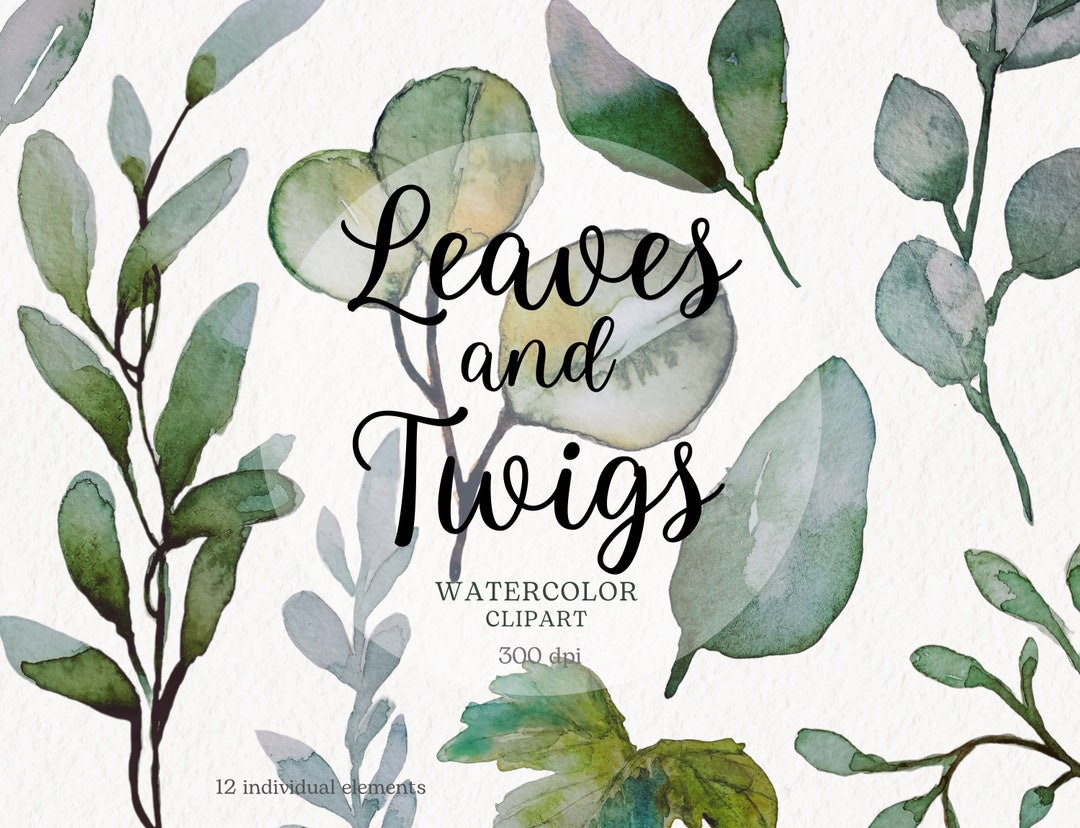 Watercolor of Clipart Green Leaves, PNG - Etsy
