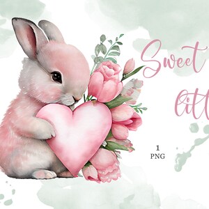 Bunny Rabbit Watercolor Clipart, Cute Baby Shower Graphics, Nursery Art ...
