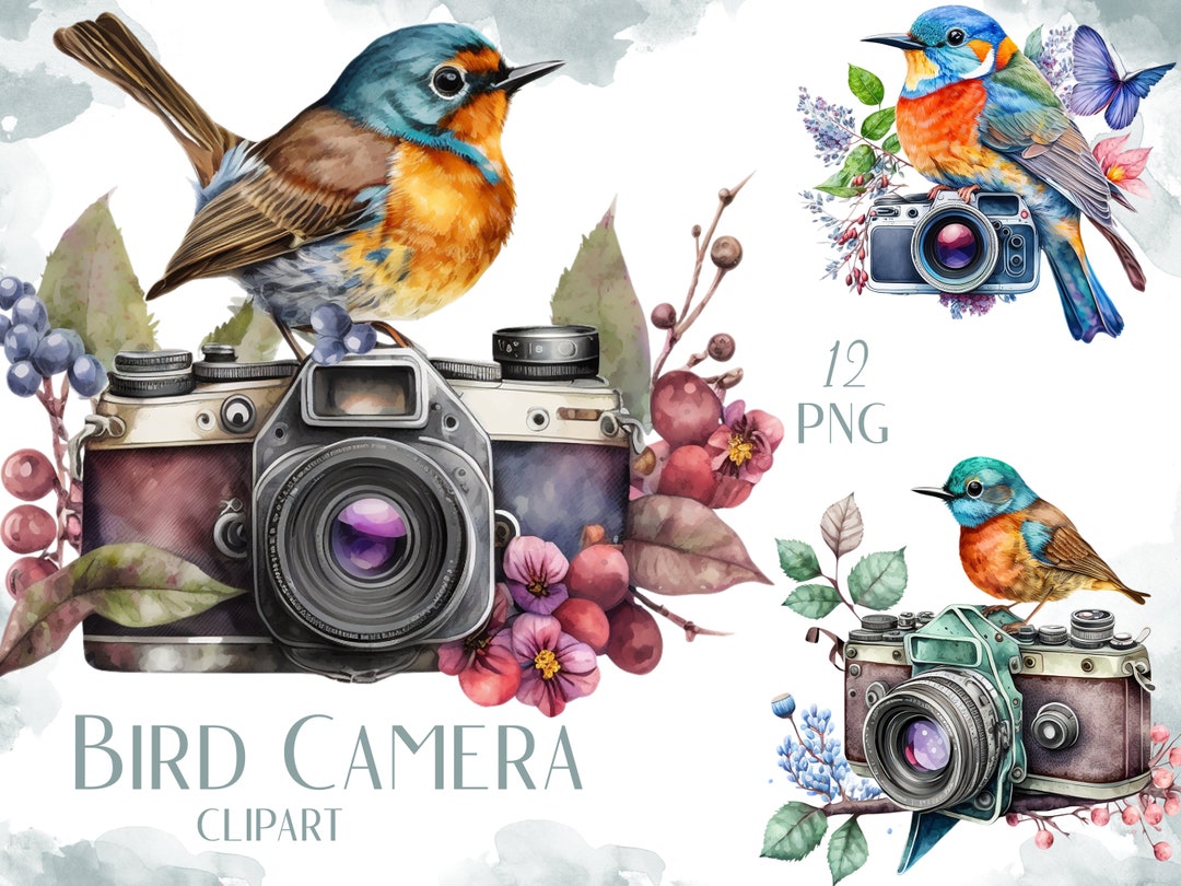Bird Cameras Clipart, Boho Camera, Birds Floral Clipart, Instant ...