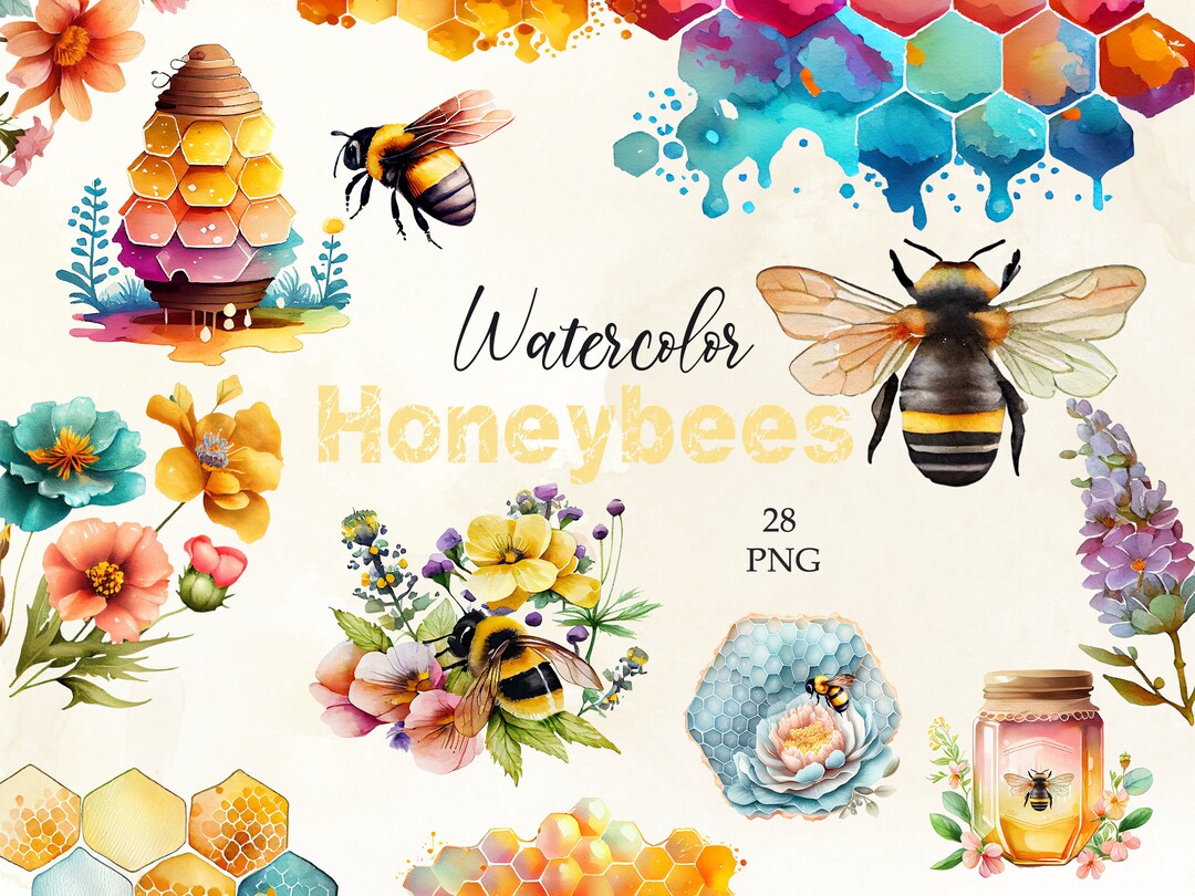 Watercolor Honeybee Clipart, Summer Clipart PNG, Watercolor Flower ...