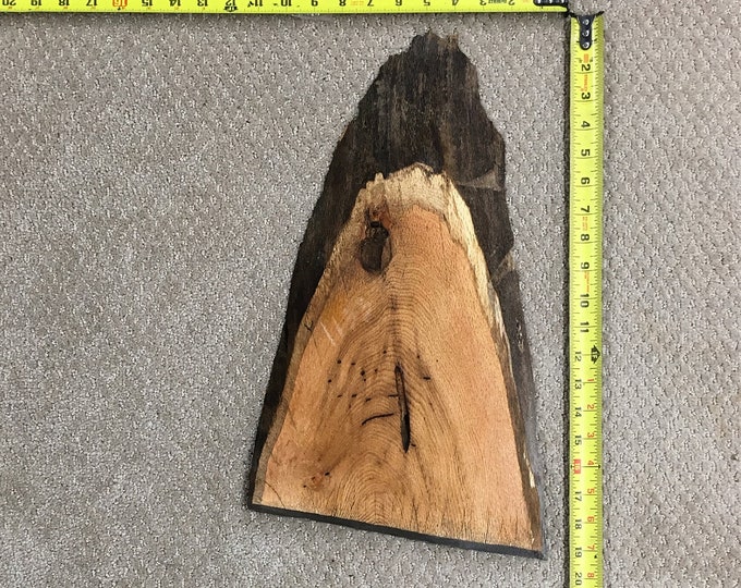 Oak Live Edge Slab, Puck, Tree Slice - Etsy