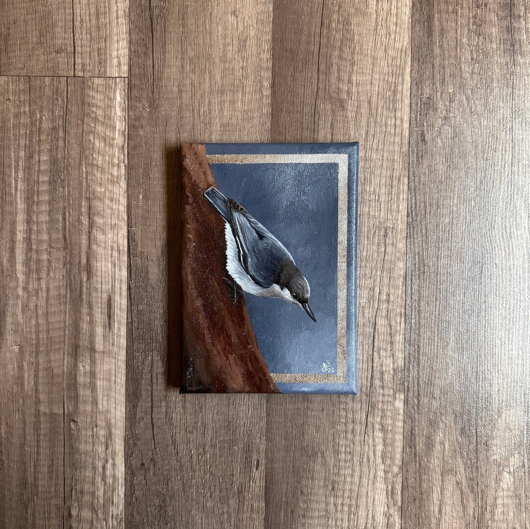 5x7 Pygmy Nuthatch Acrylic Painting - Etsy