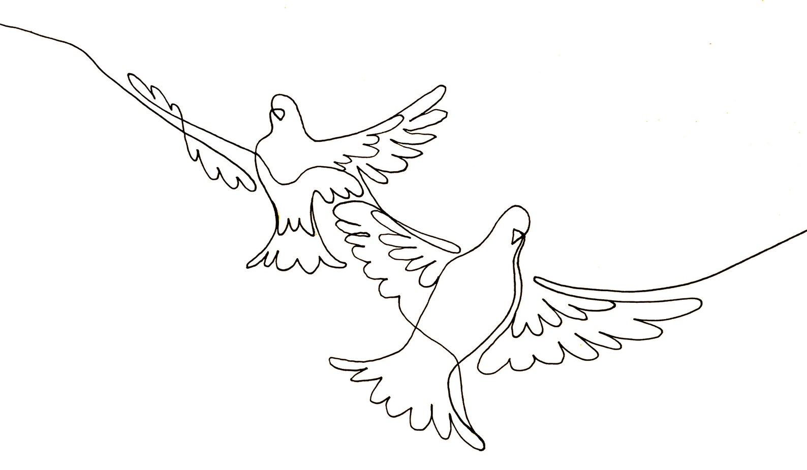 Digital Print Flying Bird Dove Line Art Drawing Wall Art Home Décor ...
