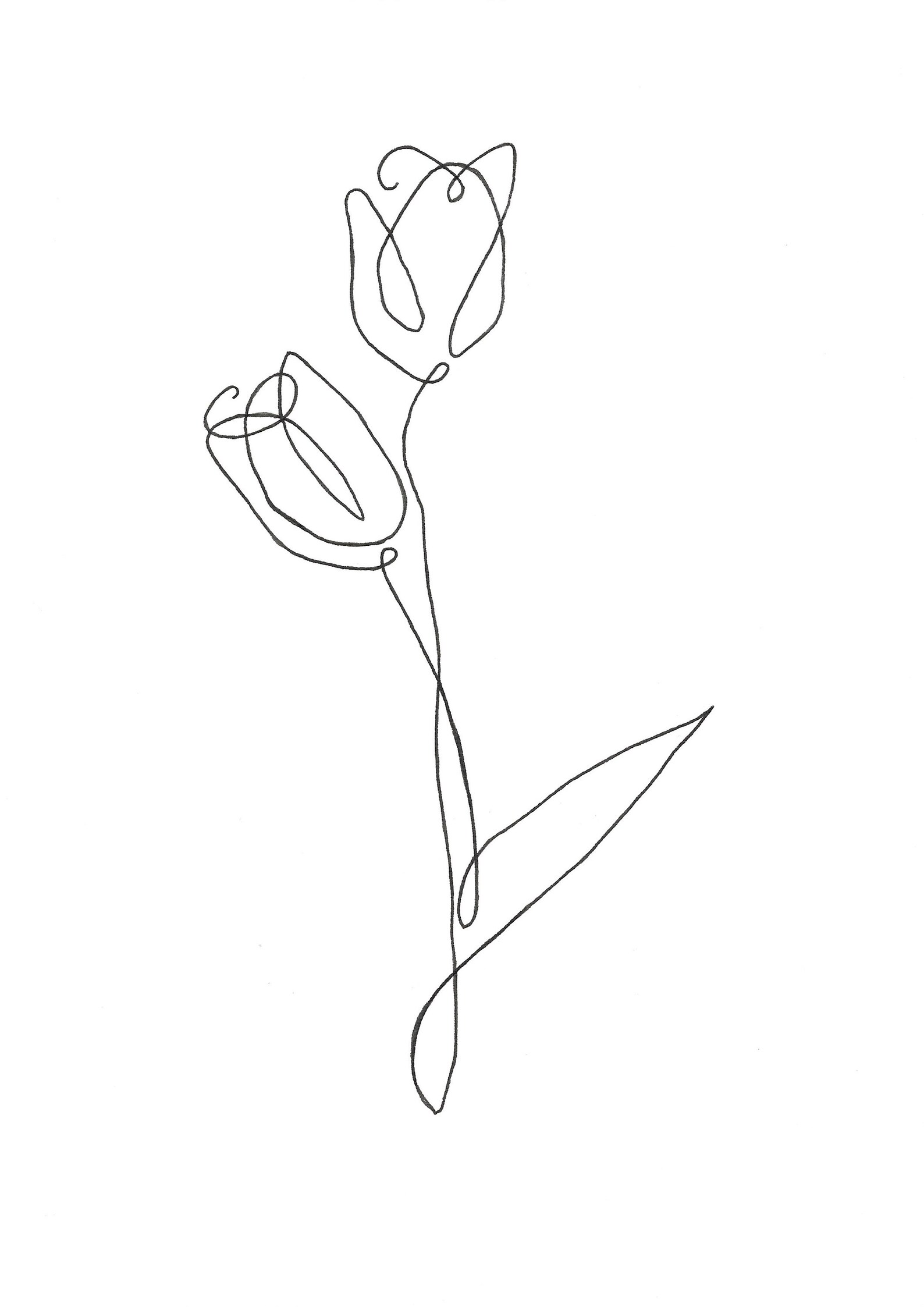 Digital Rose Line Drawing Line Art One Line Rose - Etsy UK