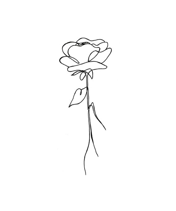 Single Rose Petals Drawing