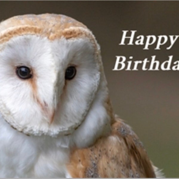 Owl Birthday Card - Etsy