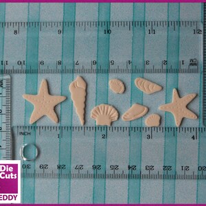 Tiny Foam Seashell Die Cuts - Die Cut Seashells for Your Cardmaking Etc ...