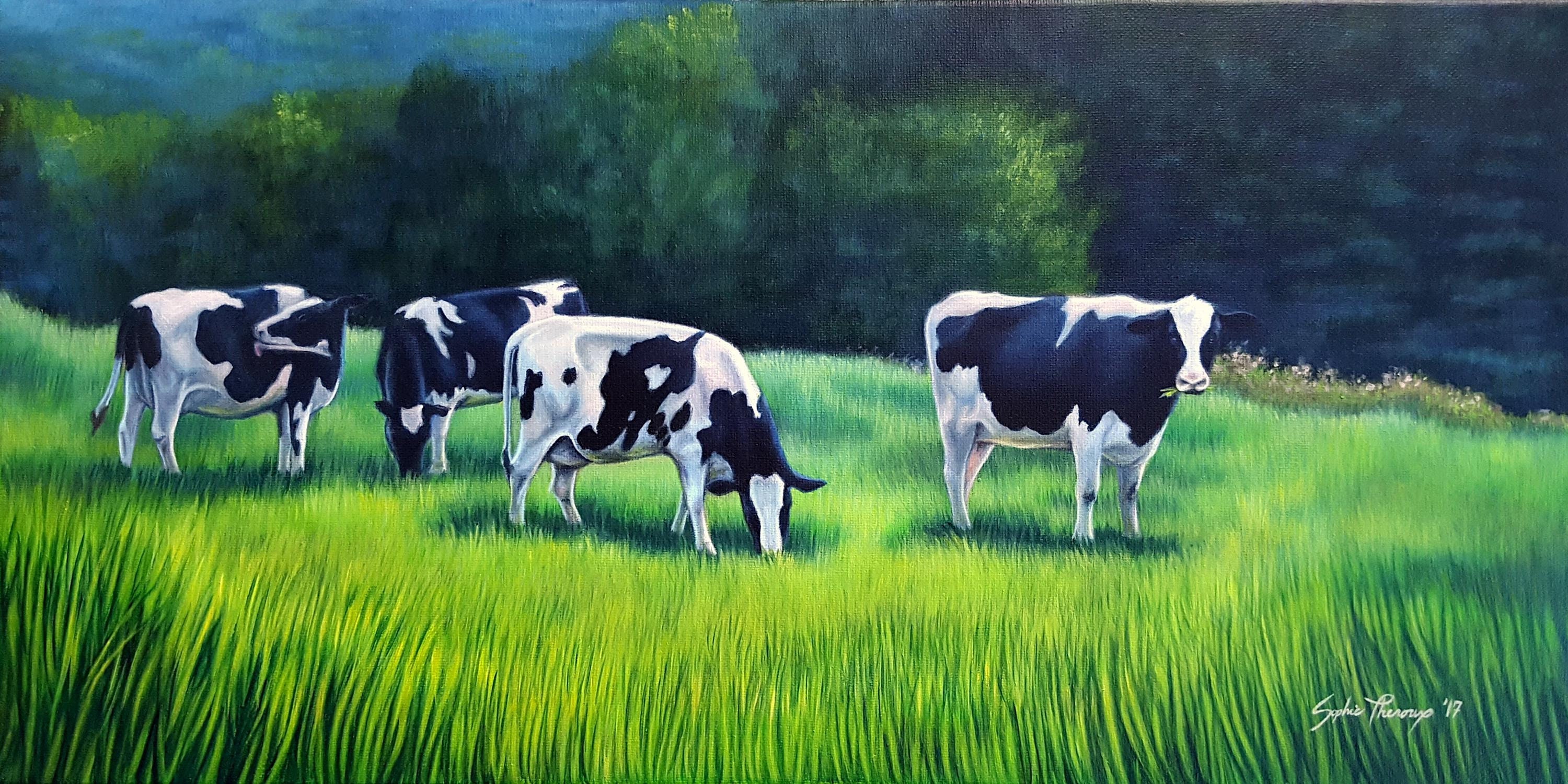 Cows in the Hilltowns of Western Massachusetts - Fine Art Print - Etsy