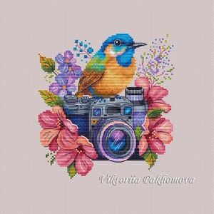 Vintage Camera Cross Stitch Pattern Pdf Pictorial Bird Summer - Etsy Canada