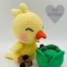 Chubby Chocobo Amigurumi Crochet Pattern. Digital PDF - Etsy