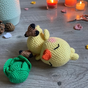 Chubby Chocobo Amigurumi Crochet Pattern. Digital PDF - Etsy