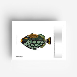 Perpetual Birthday Fish Calendar - Etsy