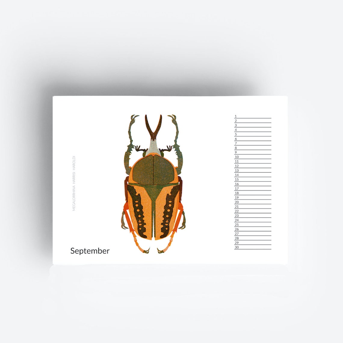 Perpetual Birthday Bug Calendar - Etsy