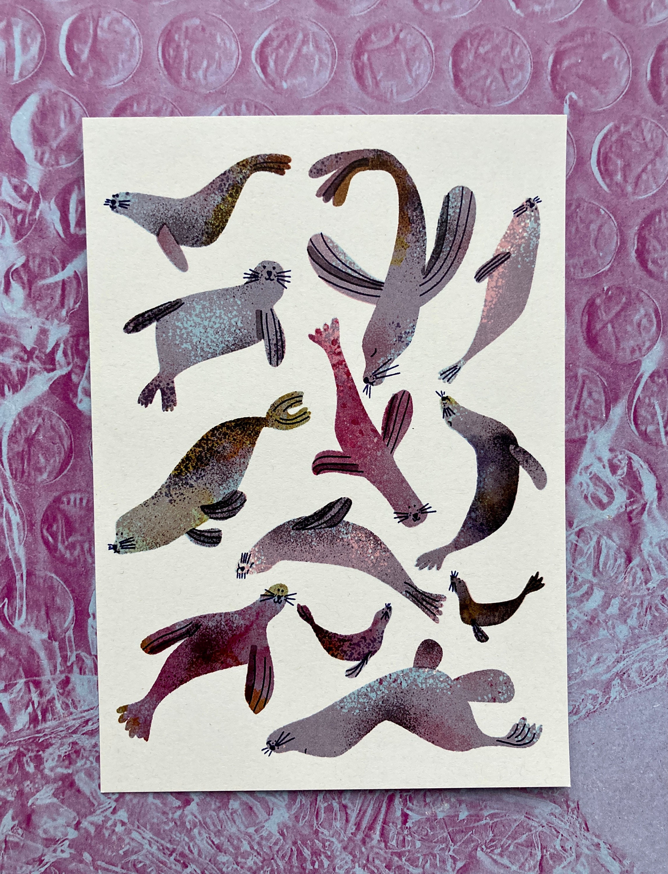 Seals Postcard DIN A6 | Etsy