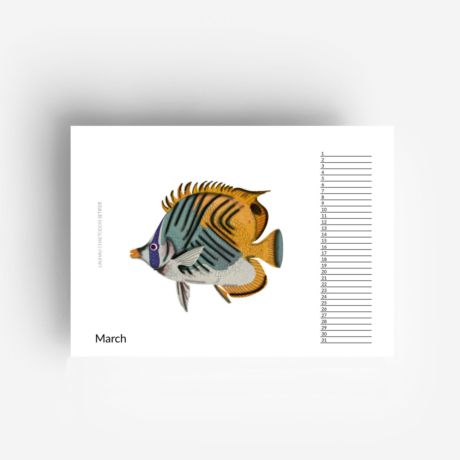 Perpetual Birthday Fish Calendar - Etsy