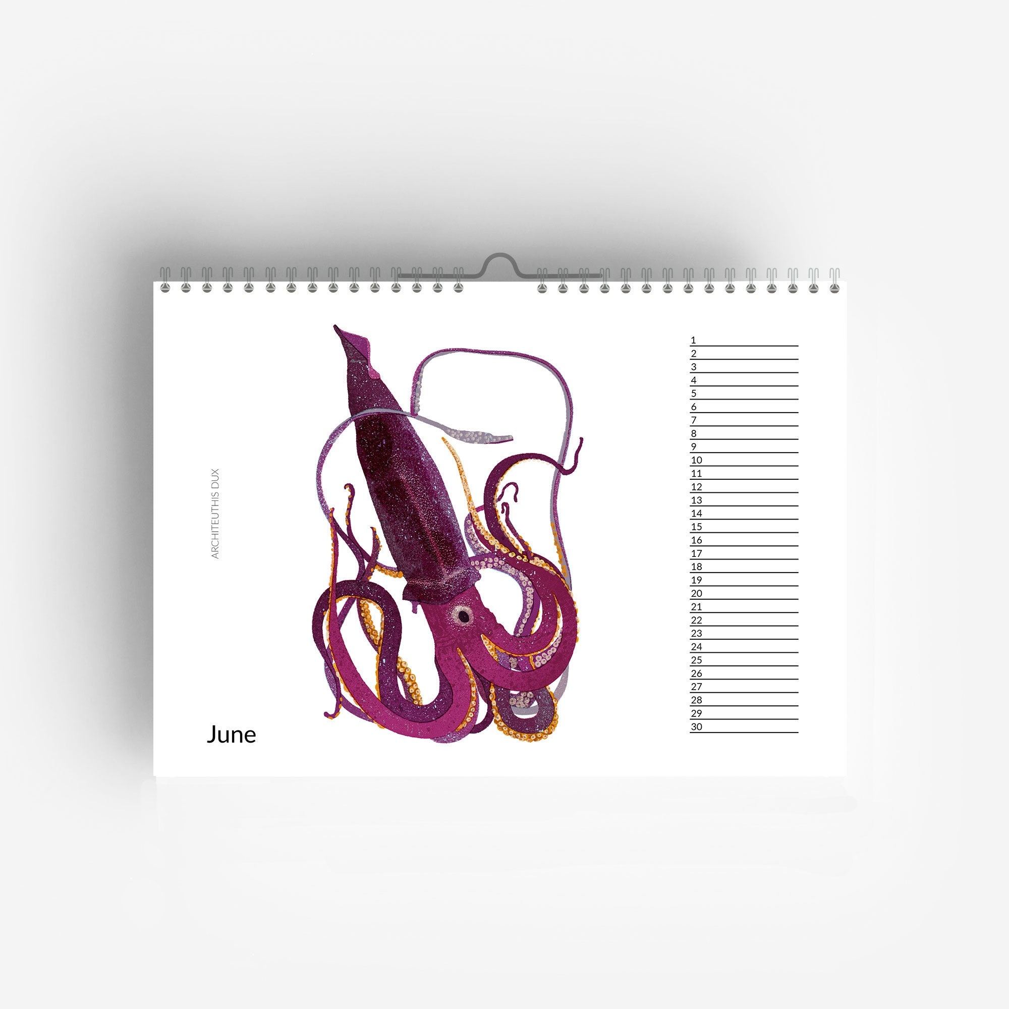 Perpetual Birthday Fish Calendar - Etsy