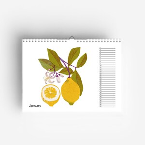 Perpetual Birthday Fruits Calendar - Etsy