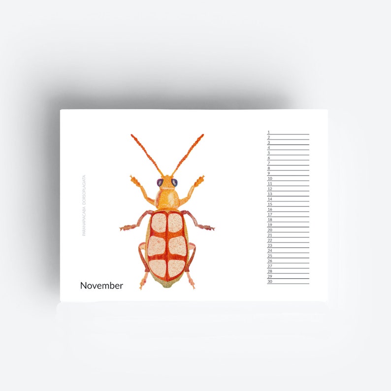 Perpetual Birthday Bug Calendar - Etsy
