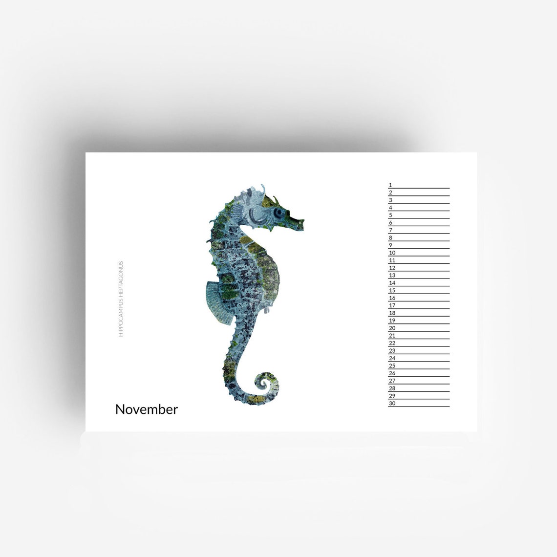 Perpetual Birthday Fish Calendar - Etsy