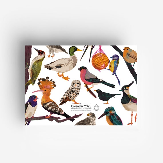 2023 Bird Calendar - Etsy