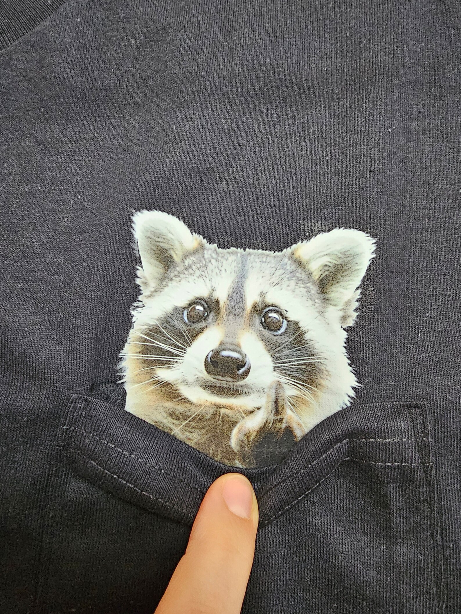 Humor Raccoon Hidden Middle Finger Pocket - Funny Raccoon Print ...