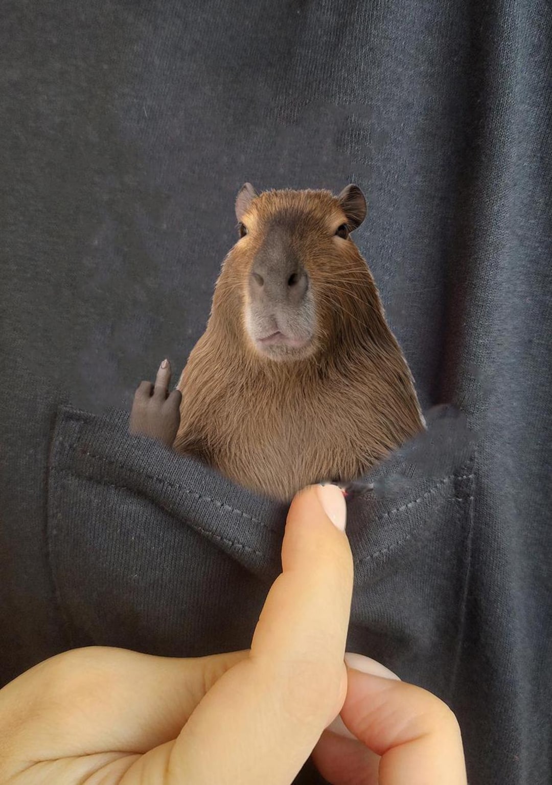Funny Capybara Shirt - Humor Capybara Hidden Middle Finger Pocket ...