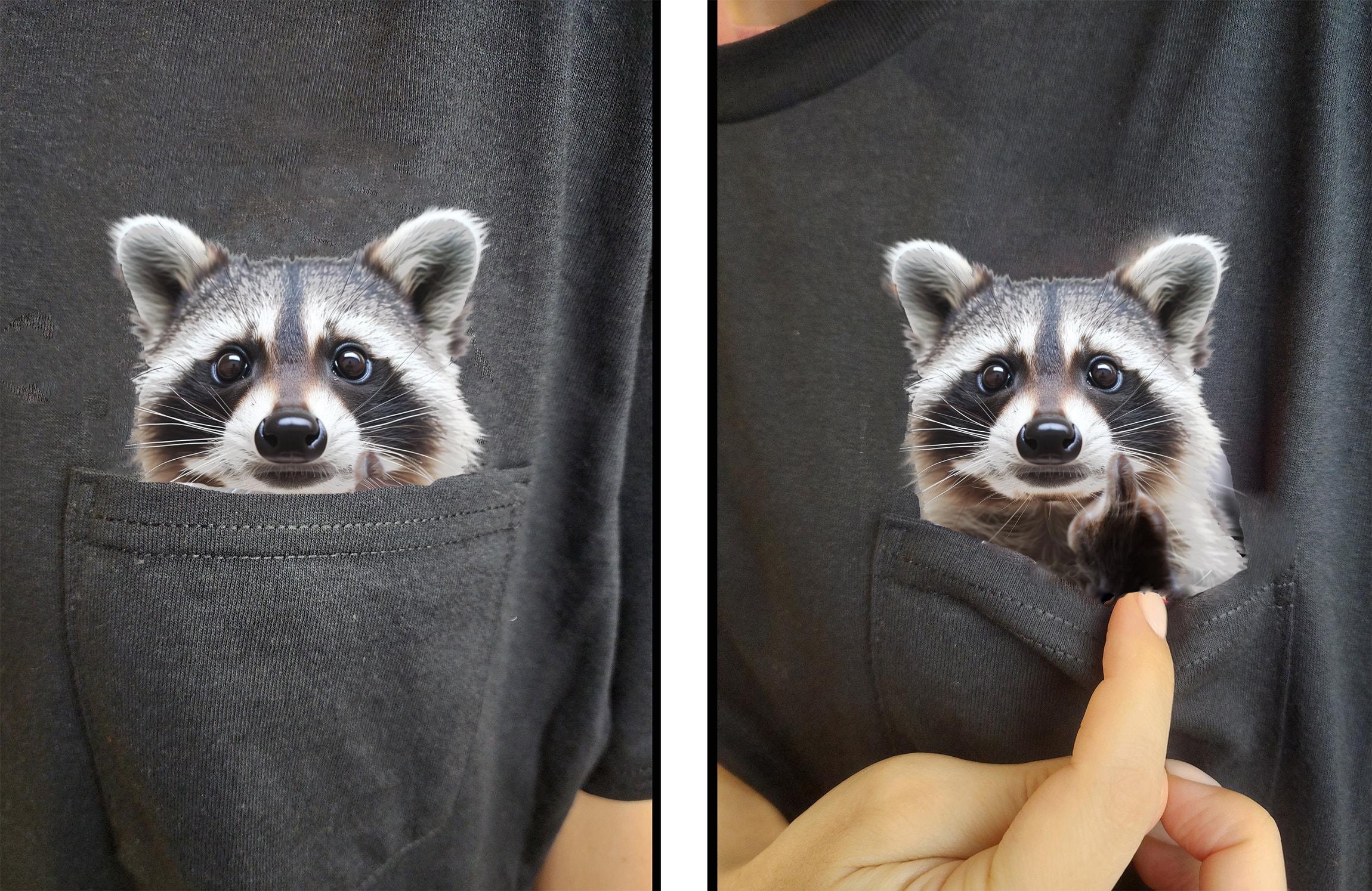 Humor Raccoon Hidden Middle Finger Pocket - Funny Raccoon Print ...