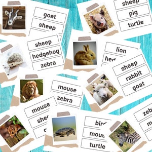 Printable Animal Sight Words Cards for Kids, Autism, Speech Delay ...
