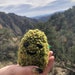Cute Crocheted Weed Nugs Weed Nug Buddies Shelfie Decor - Etsy