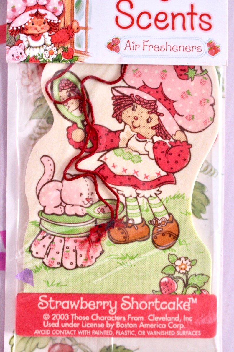 Strawberry Shortcake Car Air Fresheners New in Package - Etsy