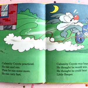 Tiny Toons Adventures Hardcover Kids Book the Big Race - Etsy