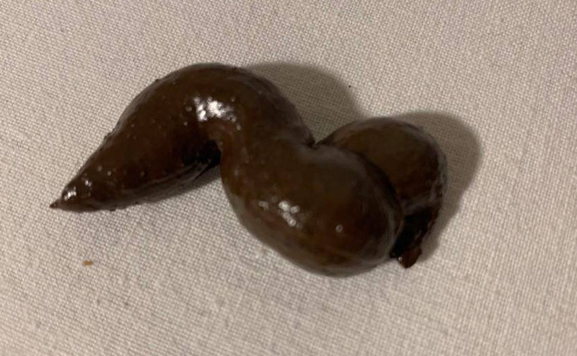 Muy realista broma de oficina mini caca falsa conjunto de 5 - Etsy España