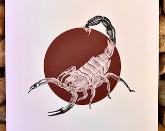 Scorpion Art Print - Etsy