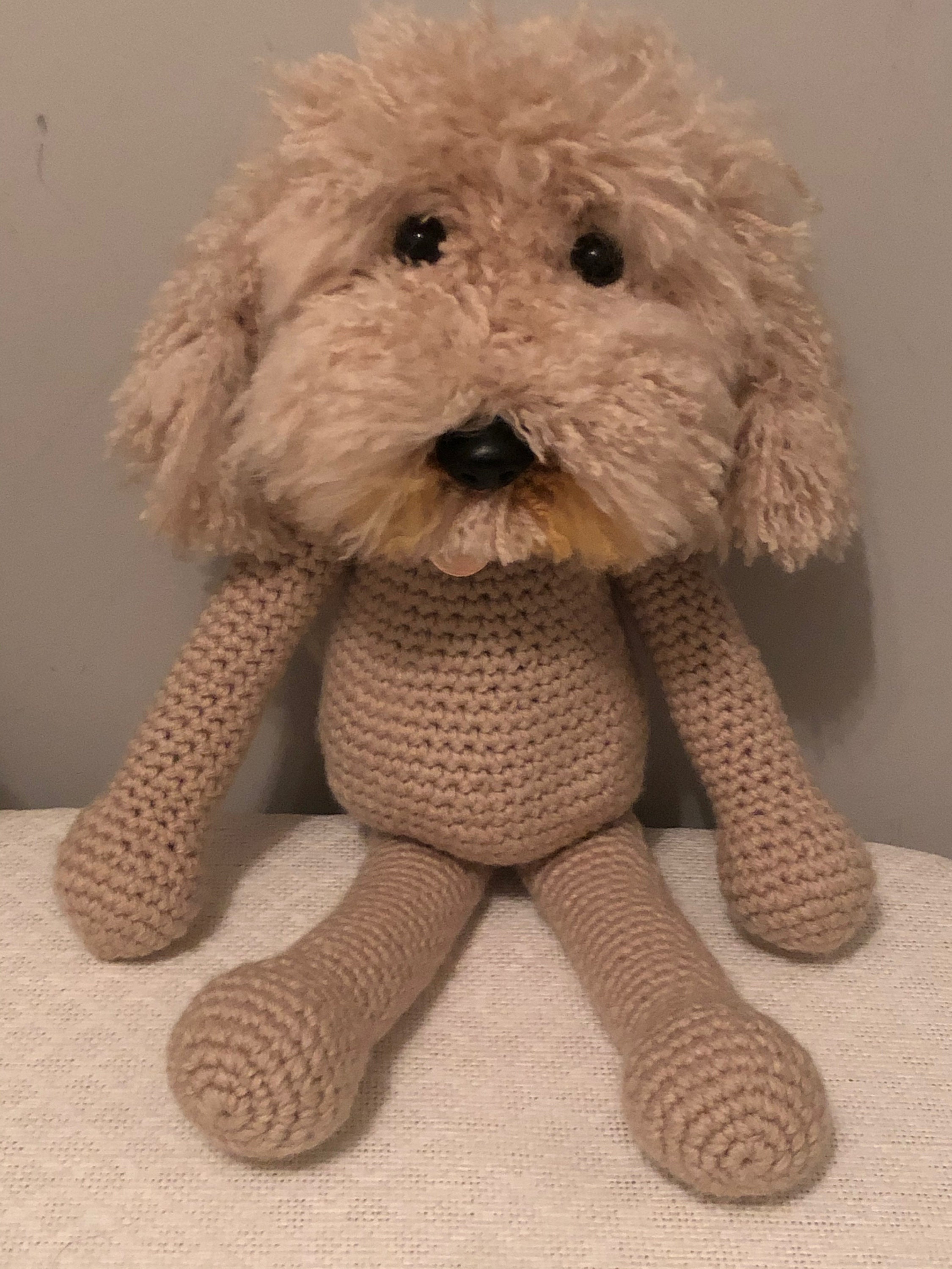 Apricot Cockapoo
