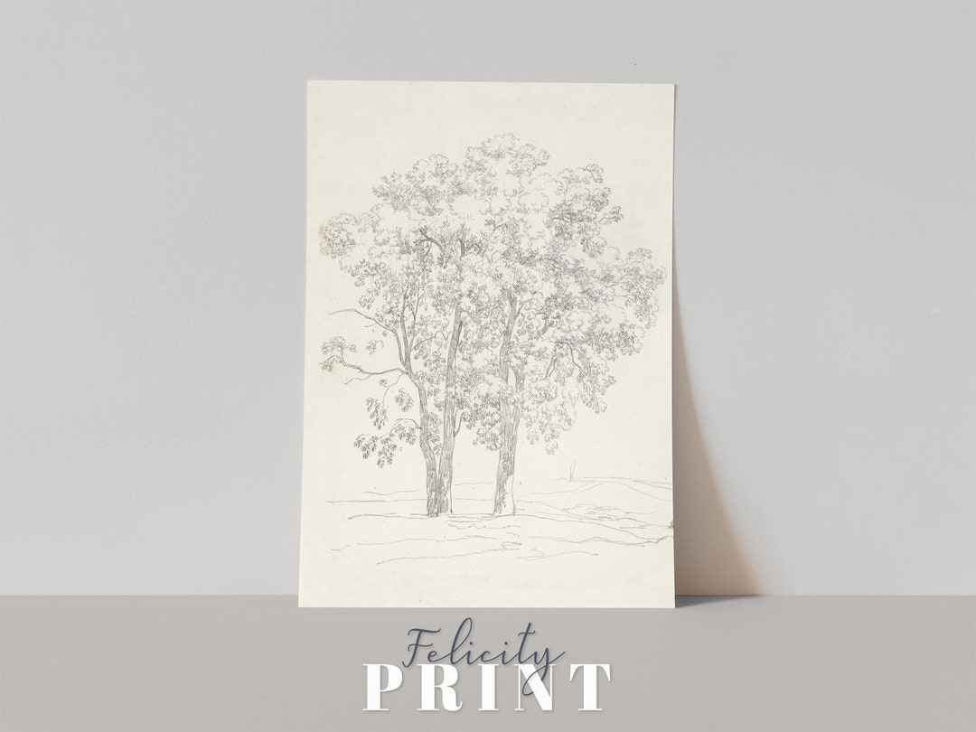 Tree Sketch From 1700’s | Farmhouse Decor | Light Academia | Earth Tone ...