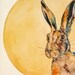 Framed Limited Edition Print- ‘leon the Hare’, Watercolour Art ...
