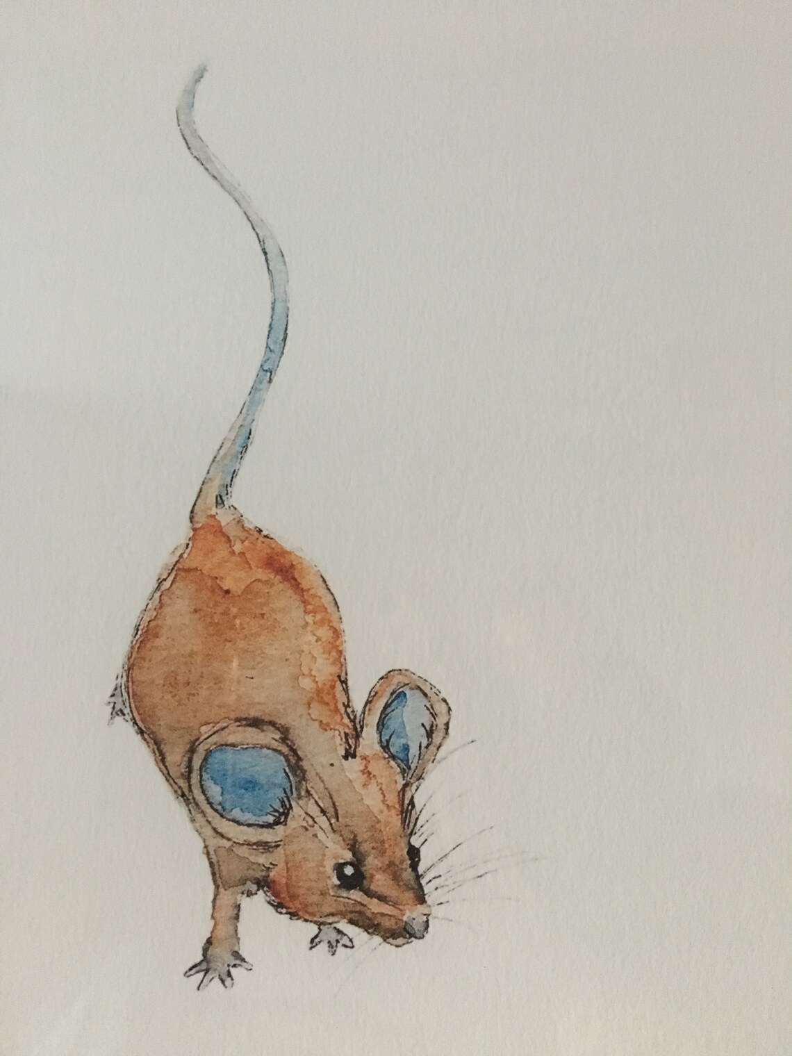Framed Limited Edition Print- ‘tim’ the Mouse, Watercolour Art ...