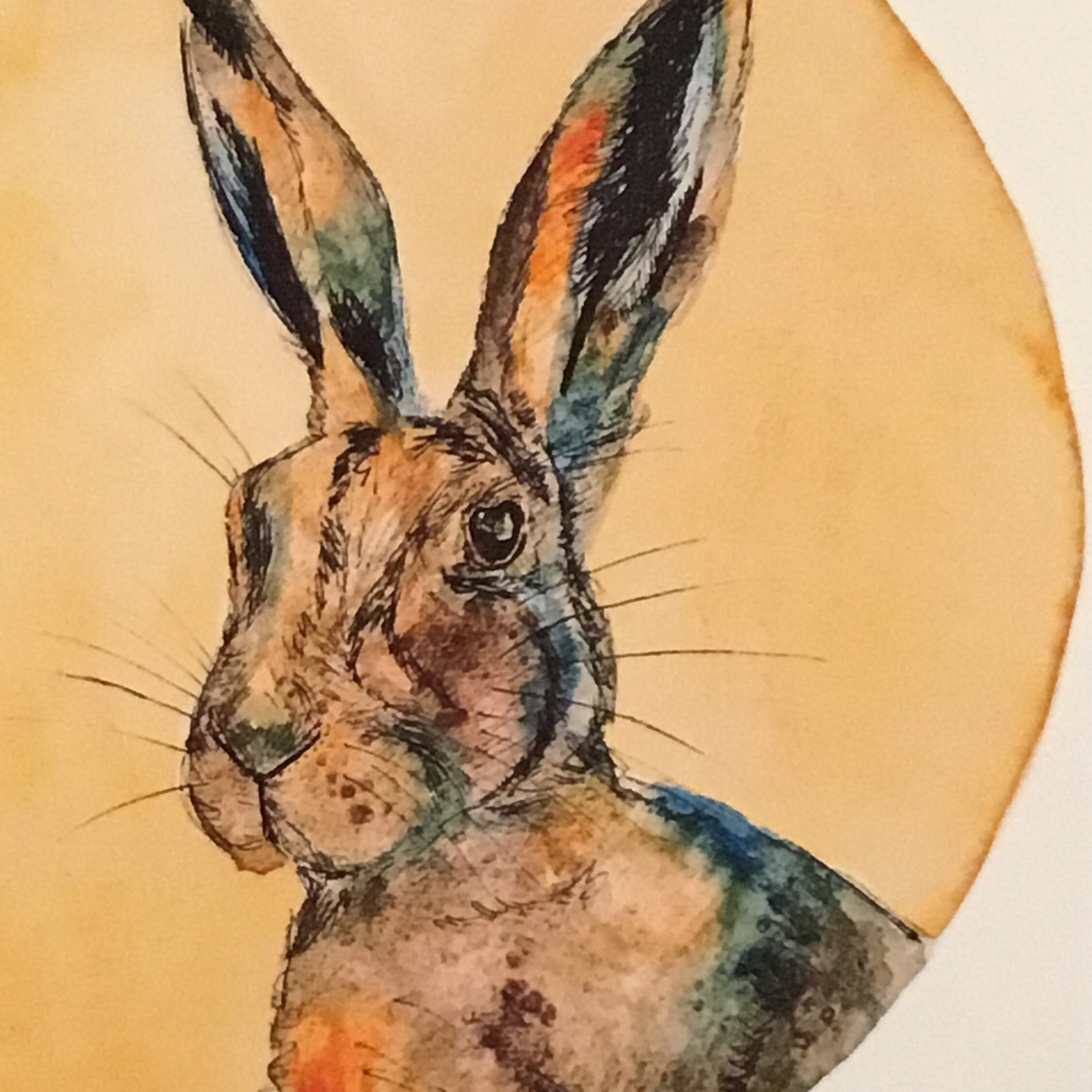 Framed Limited Edition Print leon the Hare, Watercolour Art ...