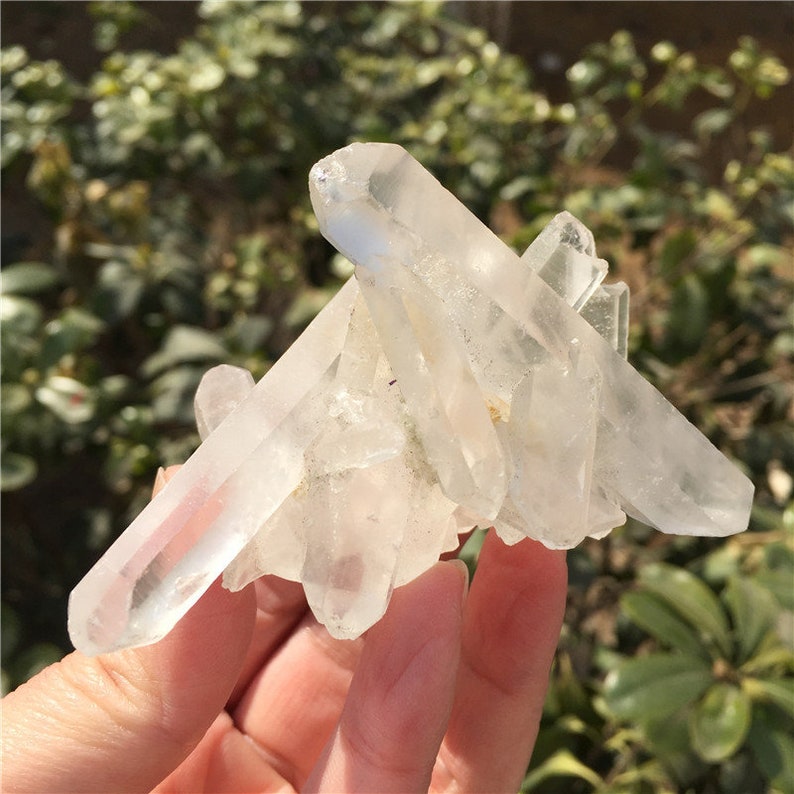 Beautiful Natural Clear Rock Quartz Crystal Cluster Stone Minerals ...
