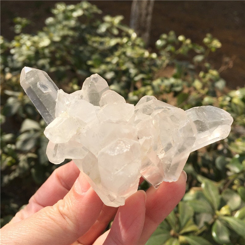 Beautiful Natural Clear Rock Quartz Crystal Cluster Stone Minerals ...