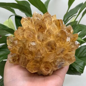 Natural Raw Citrine Quartz Stone Crystal Cluster Healing Yellow Stones Mineral Specimen Home ...