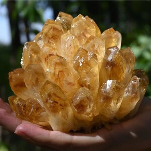 Natural Raw Citrine Quartz Stone Crystal Cluster Healing Yellow Stones Mineral Specimen Home ...