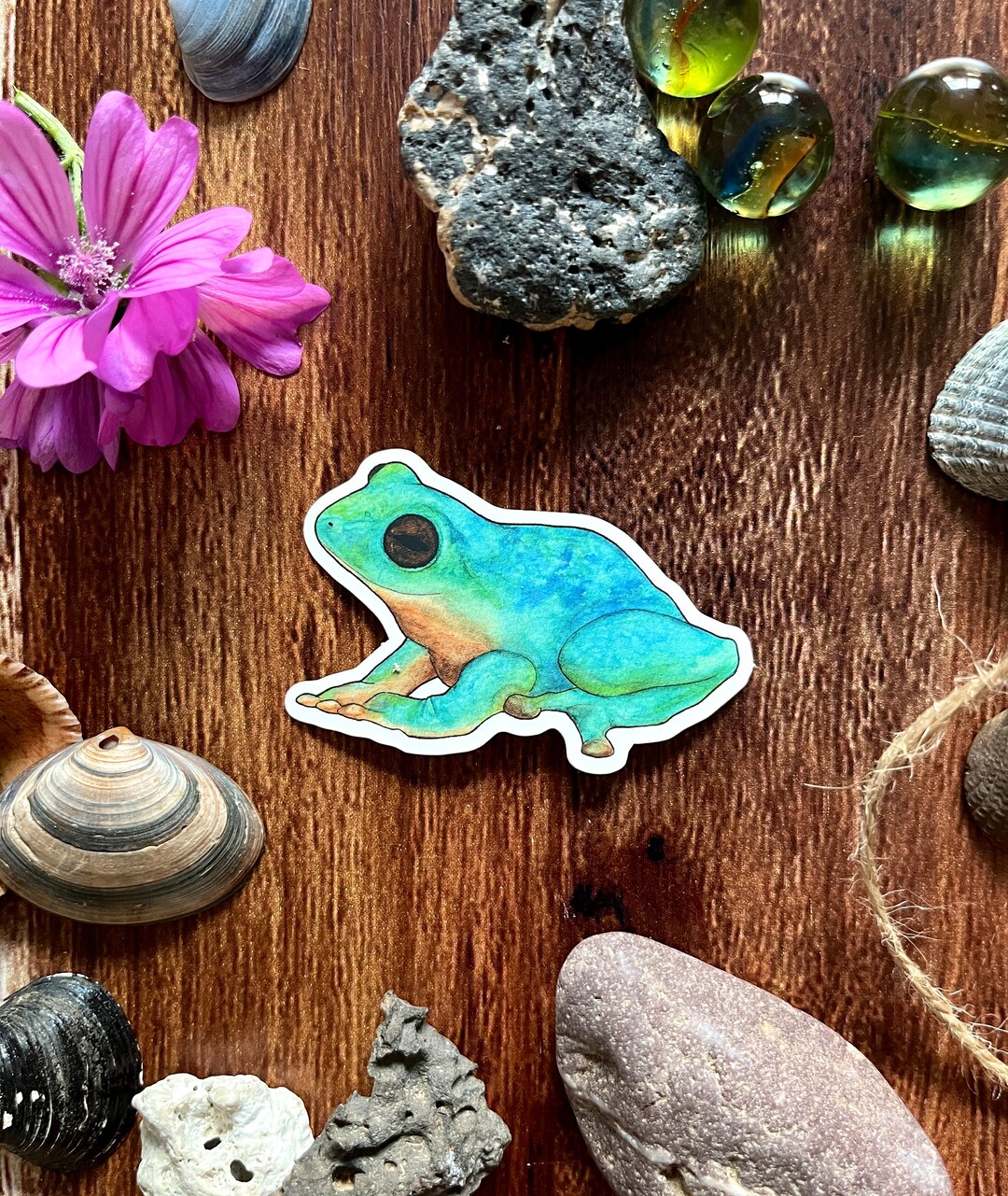 Frog Frog Sticker Rainforest Vinyl - Etsy
