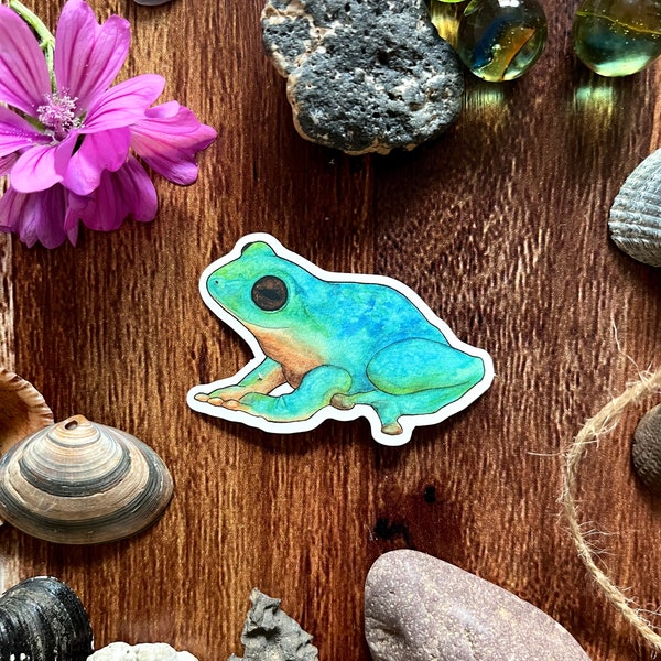 Frog Stickers - Etsy Canada