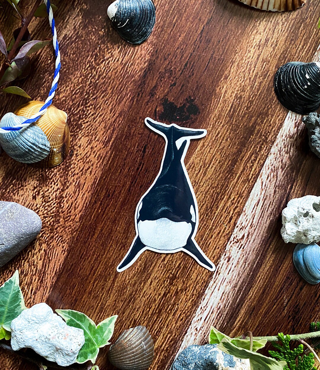Orca Whale Sticker Decal Vinyl Arctic - Etsy