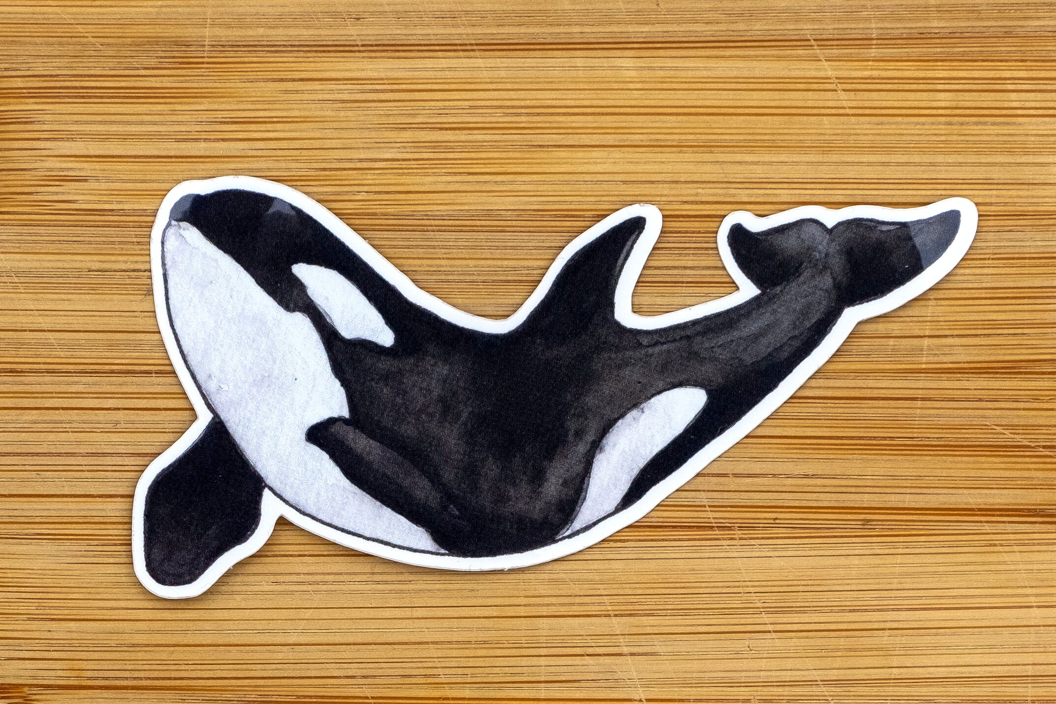 Orca Schwertwal Sticker Aquarell Illustration | Etsy