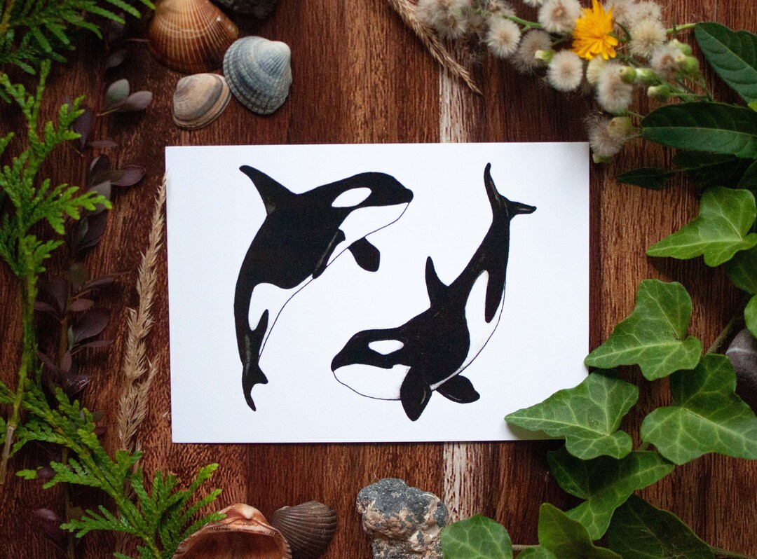 Orca Whale Postcard Yin Yang Friends Etsy